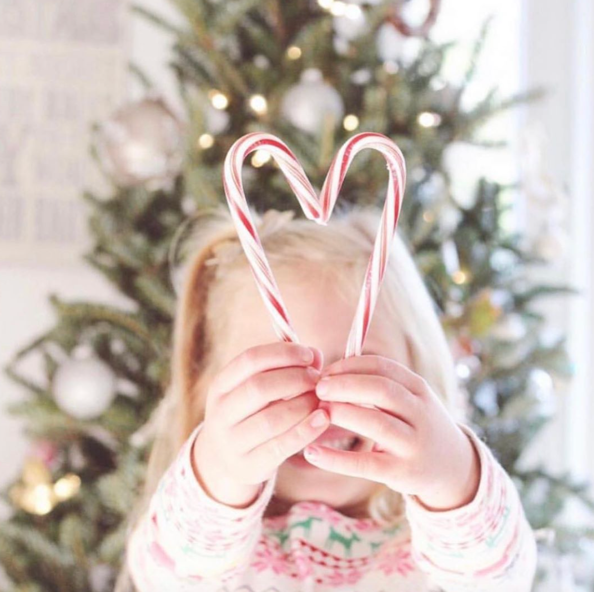 Candy Canes — The Giving Manger